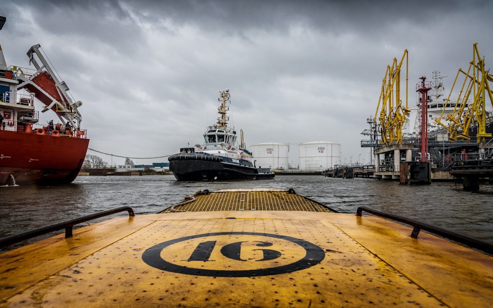 Boottocht in de haven van Amsterdam | musement