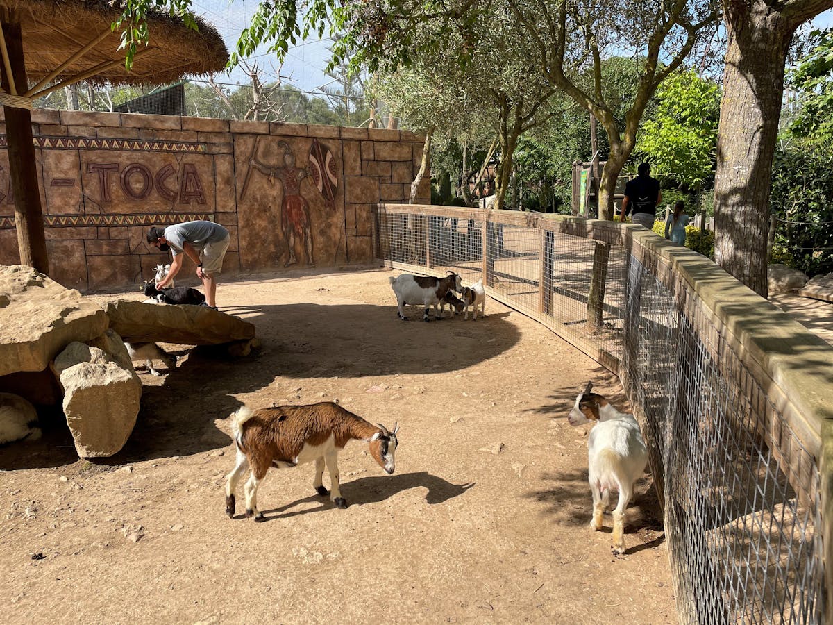 Lloc de Menorca Animal Park Ticket | Atrakcje, wycieczki fakultatywne ...