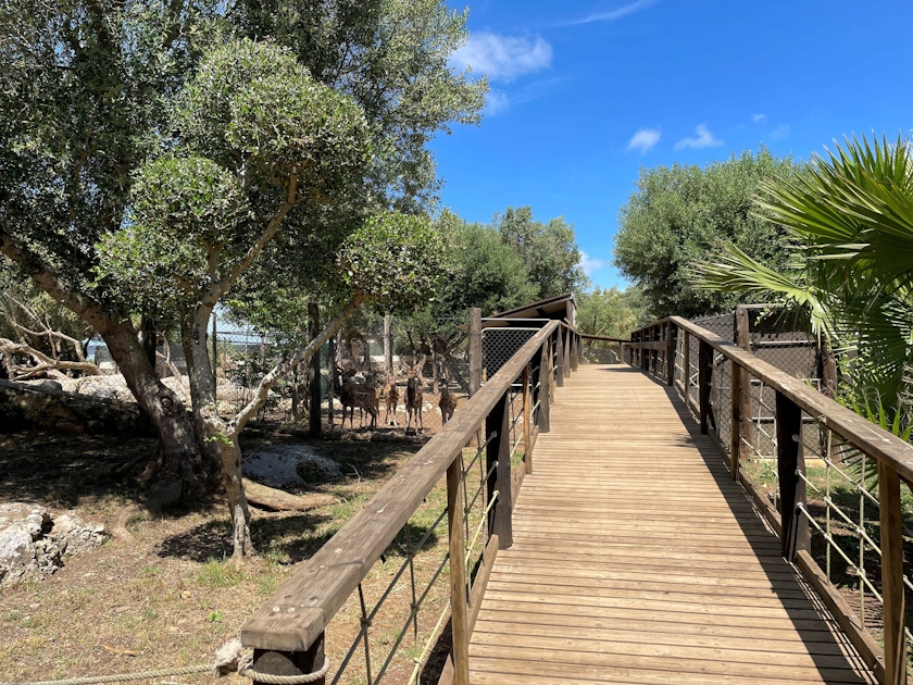 Lloc de Menorca Animal Park Ticket | musement