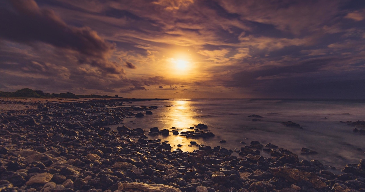 The Full Moon experience | musement