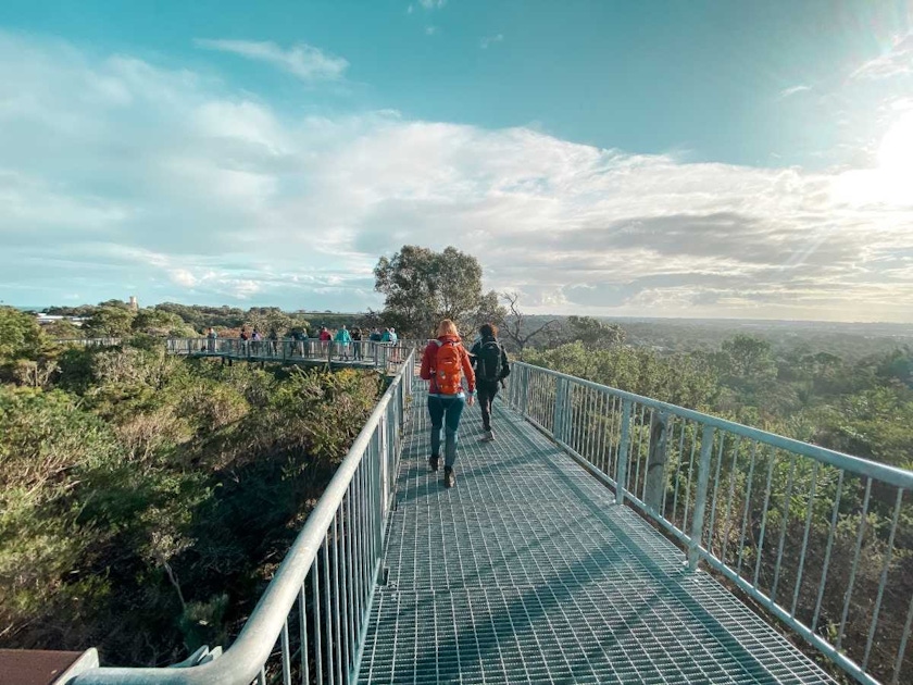 Guided hike at Bold Park "Sanctuary by the sea" | musement