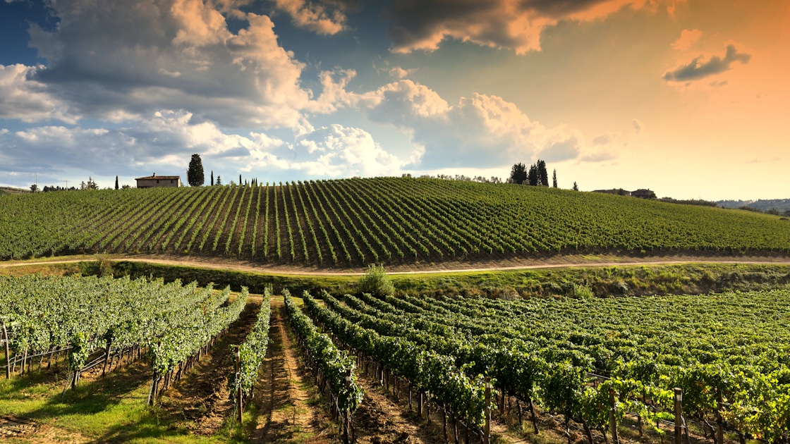 Discover the Bodacious Bordeaux wine pass of Seattle | musement