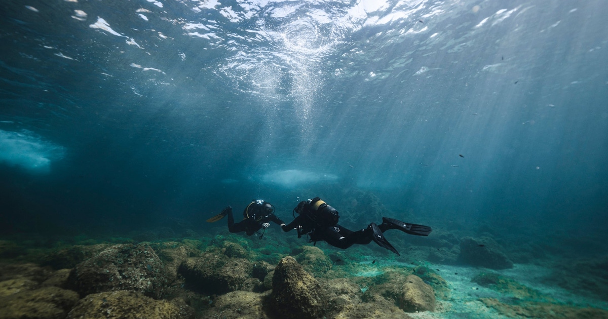 Binibeca Single Dive & Equipment for Qualified Divers | musement Binibeca Single Dive & Equipment for Qualified Divers | musement