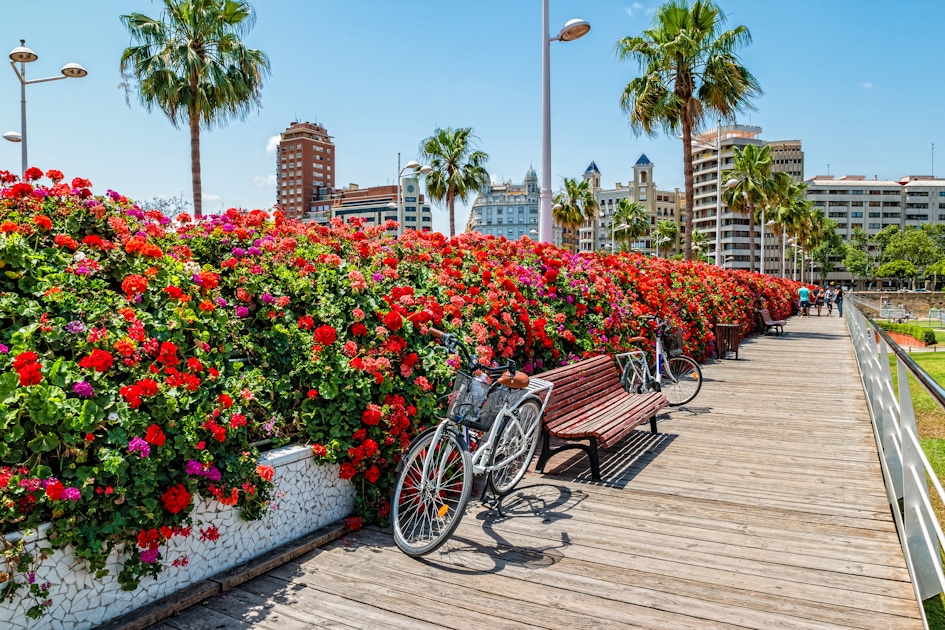 Valencia up to 3 hours bike and e-bike rental | musement