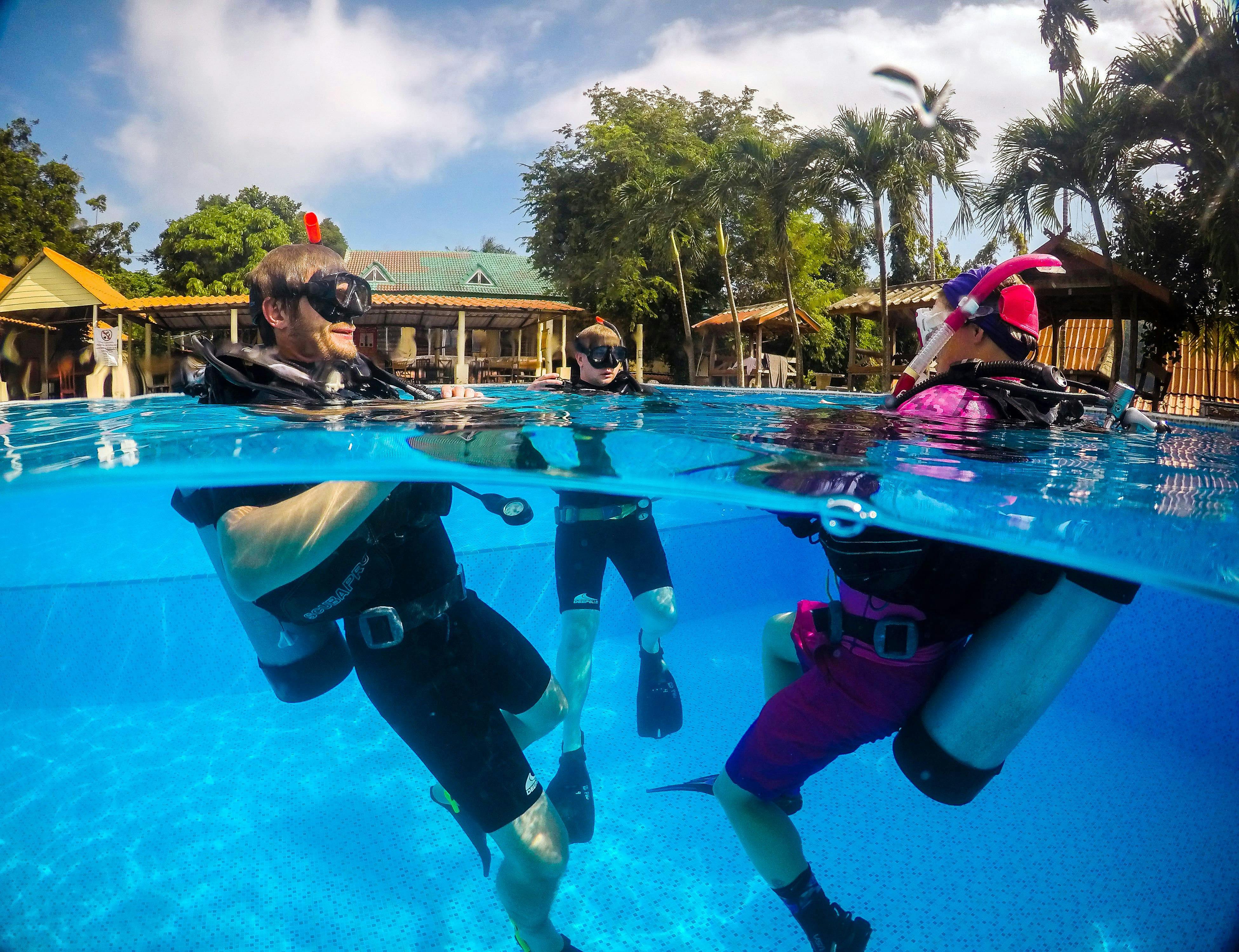 PADI Open Water Diving Course | musement
