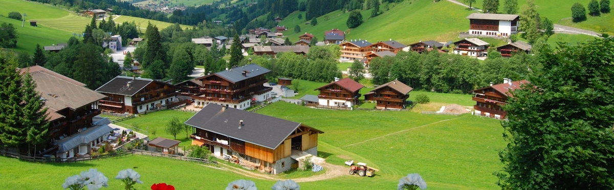 Things to do in Alpbach: Museums, tours, and attractions | musement