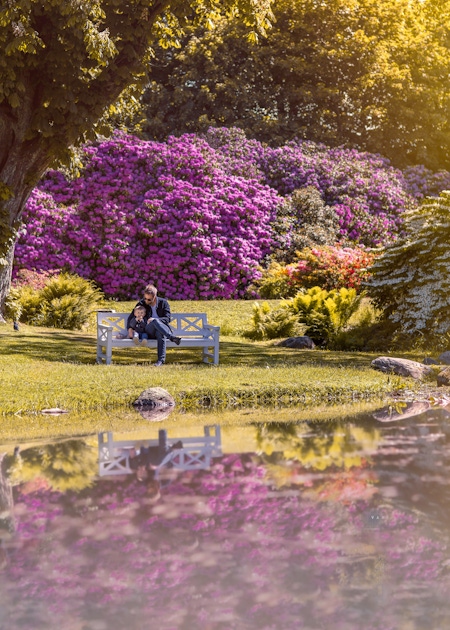 Sofiero Park and castle entrance tickets | musement