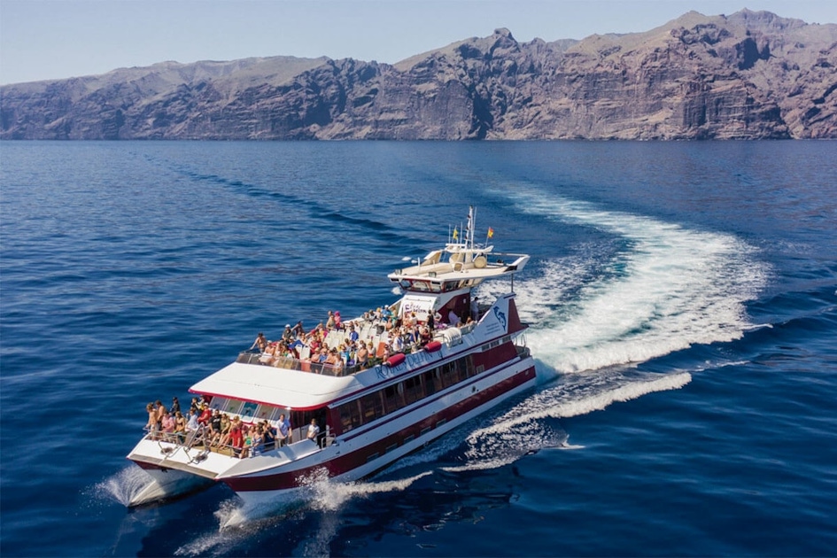 4.5-hour royal dolphin north cruise | musement