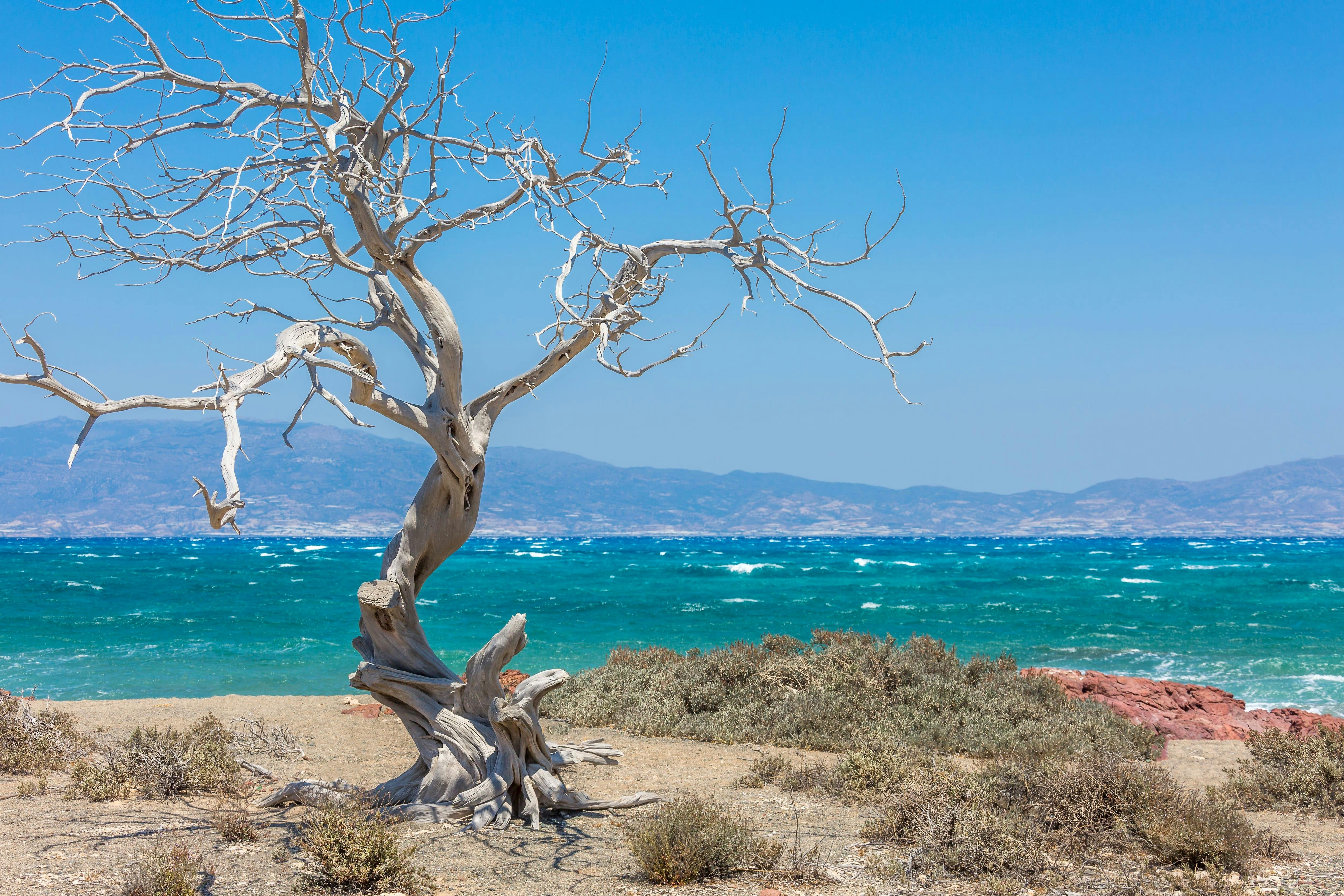 Chrissi Island from Mikri Poli Resort | musement