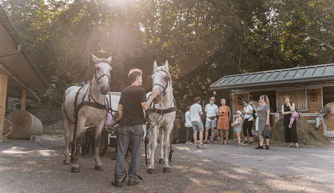 Secrets of the Viennese Fiaker and carriage ride in Vienna | musement