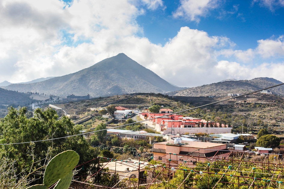 Full-day Taif tour with lunch from Jeddah | musement