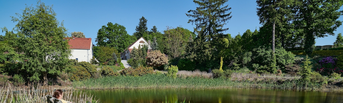 Things to do in Torzym: experiences and attractions | musement