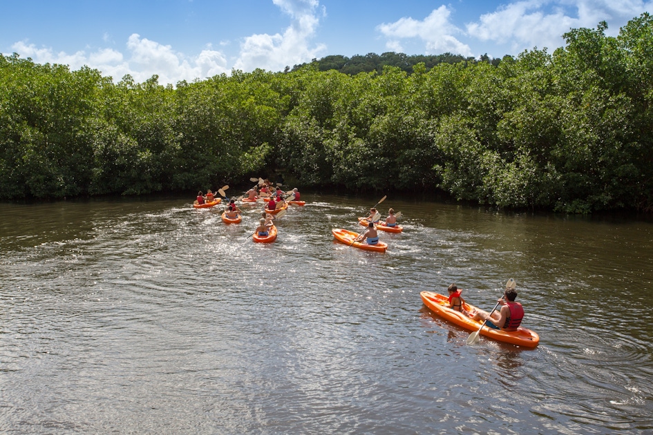 Jeep safari, mangrove lagoon kayaking and reef snorkeling | musement