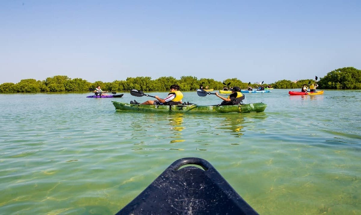 Mangrove kayaking tour with transport from Doha | musement