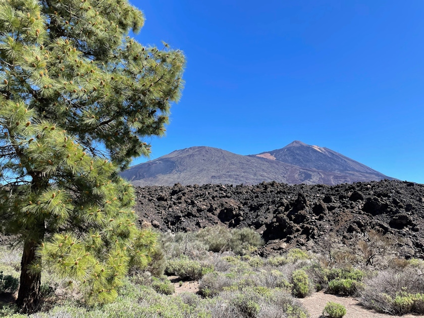 Historic Volcanoes Hiking Tour | musement
