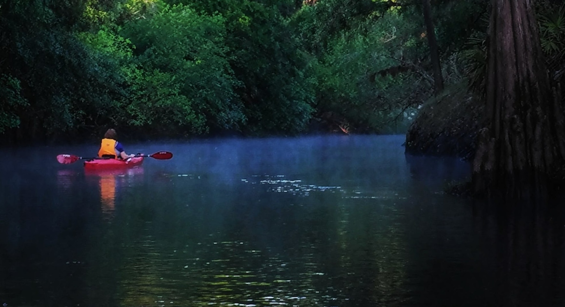 Econlockhatchee River kayak tour | musement