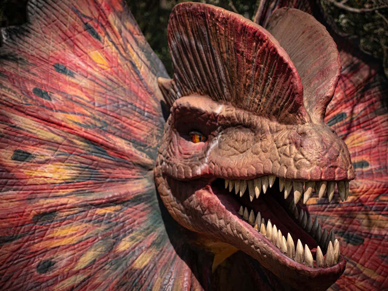 Guided tour of Hams Caves with Dinosaurland visit | TUI