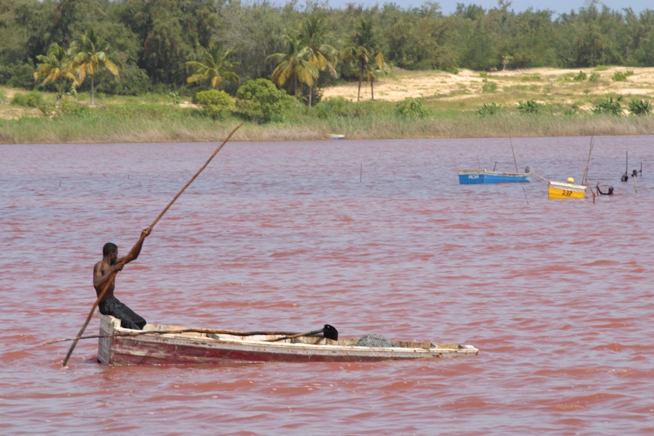 Pink Lake & tortoise reserve guided tour from Pointe Sarène | musement