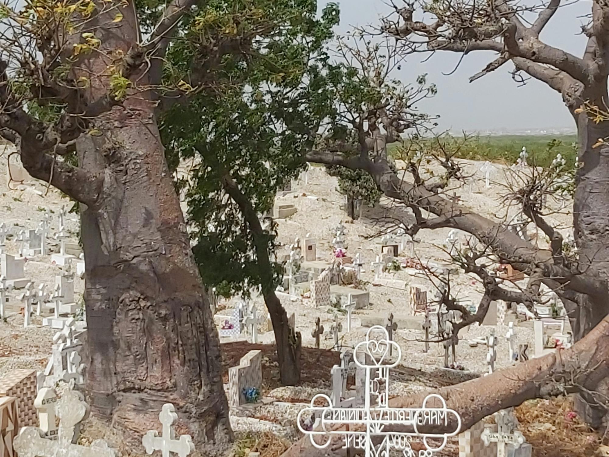 Fadiouth Seashell Island guided tour from Pointe Sarène | musement
