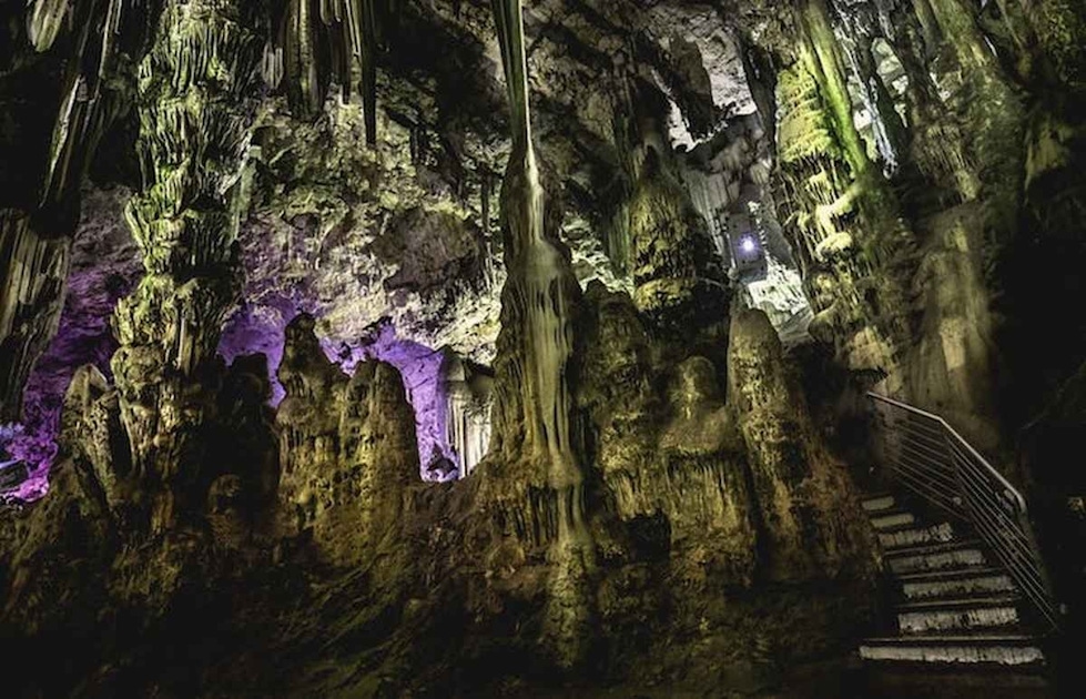 Gibraltar Pass 1-day ticket | musement