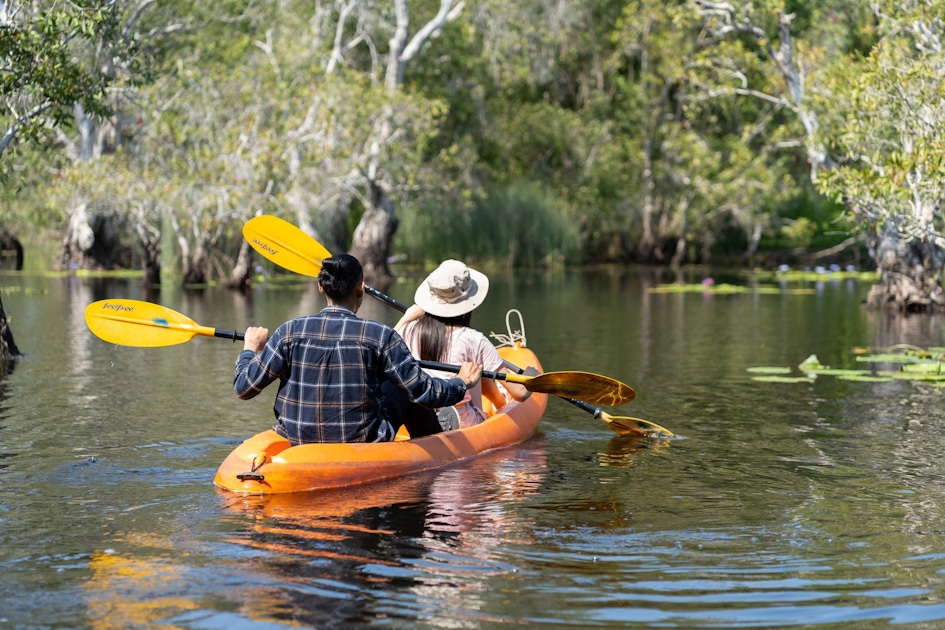 Mangroves kayak and stand-up paddle tour in Doha | musement