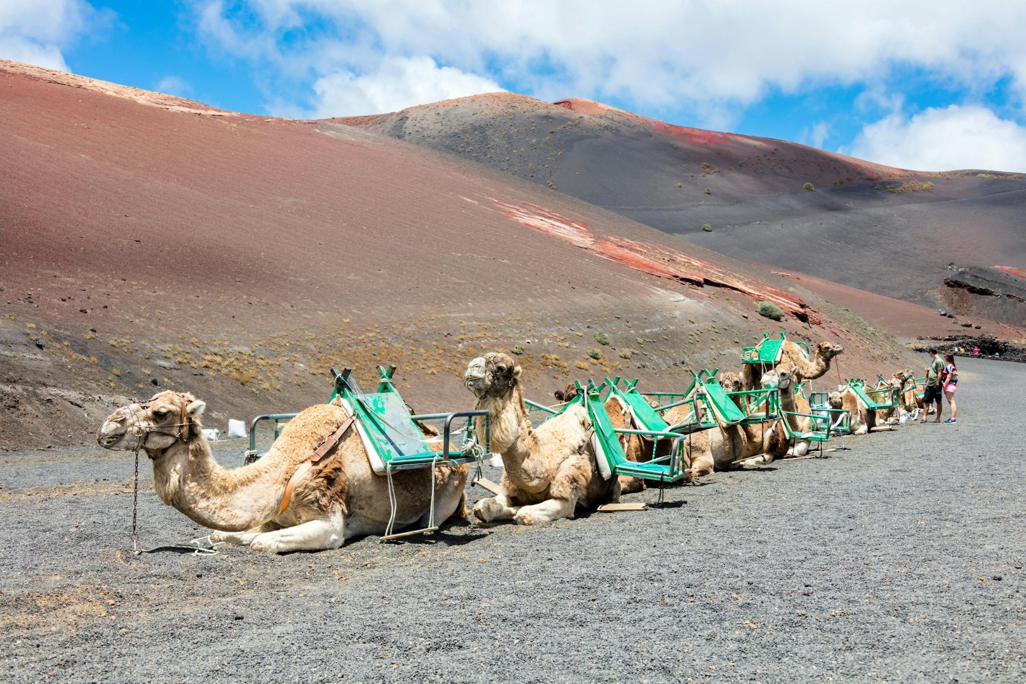 Visite familiale du parc national de Timanfaya avec balade à dos de ...