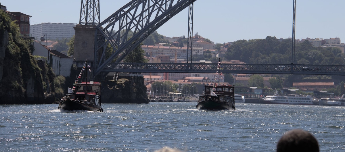 Porto walking tour and six bridges river cruise | musement