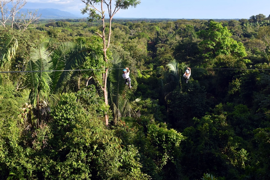 Titi Canopy Tour | musement