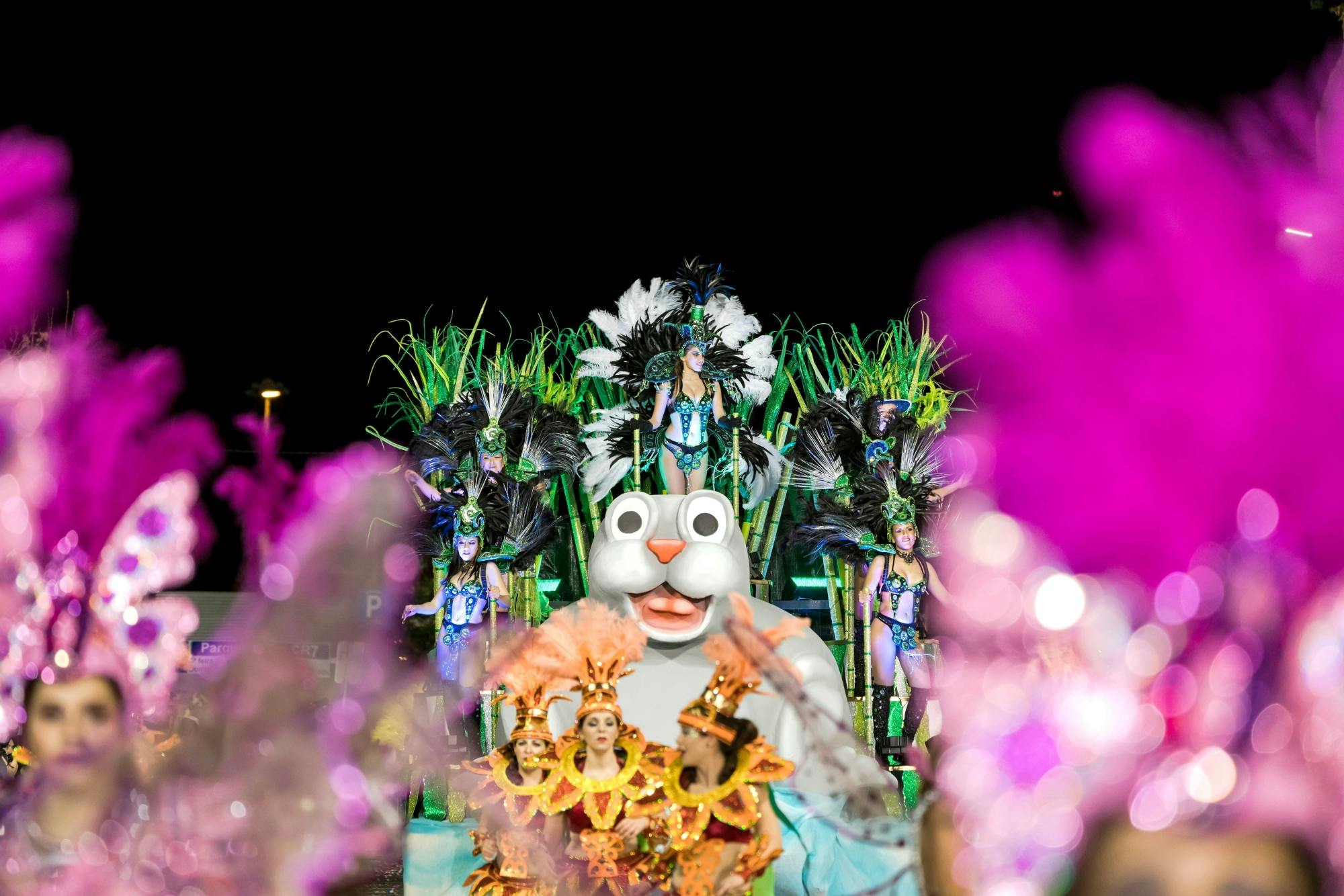 Madeira Carnival Parade | musement