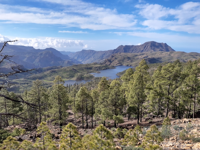 Full-day hiking in Gran Canaria: route of the week with pickup and ...