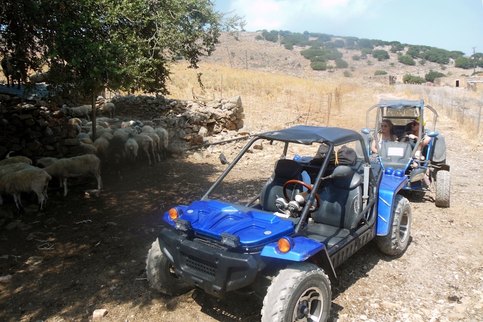 Crete Buggy Safari Ticket from Malia | musement