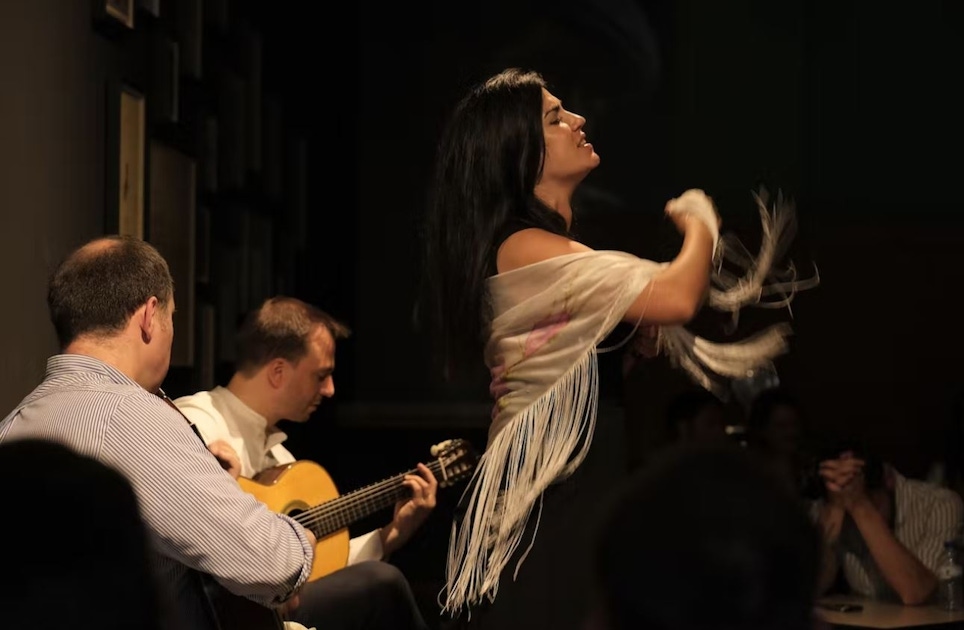 Porto Fado Show Tickets | musement