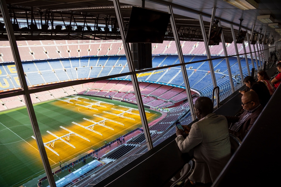 Barcelona Fun Day with Camp Nou and Barcelona Zoo | musement