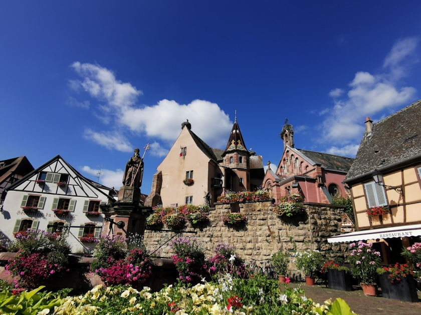 Half-day tour of Alsace villages and wine tasting | musement