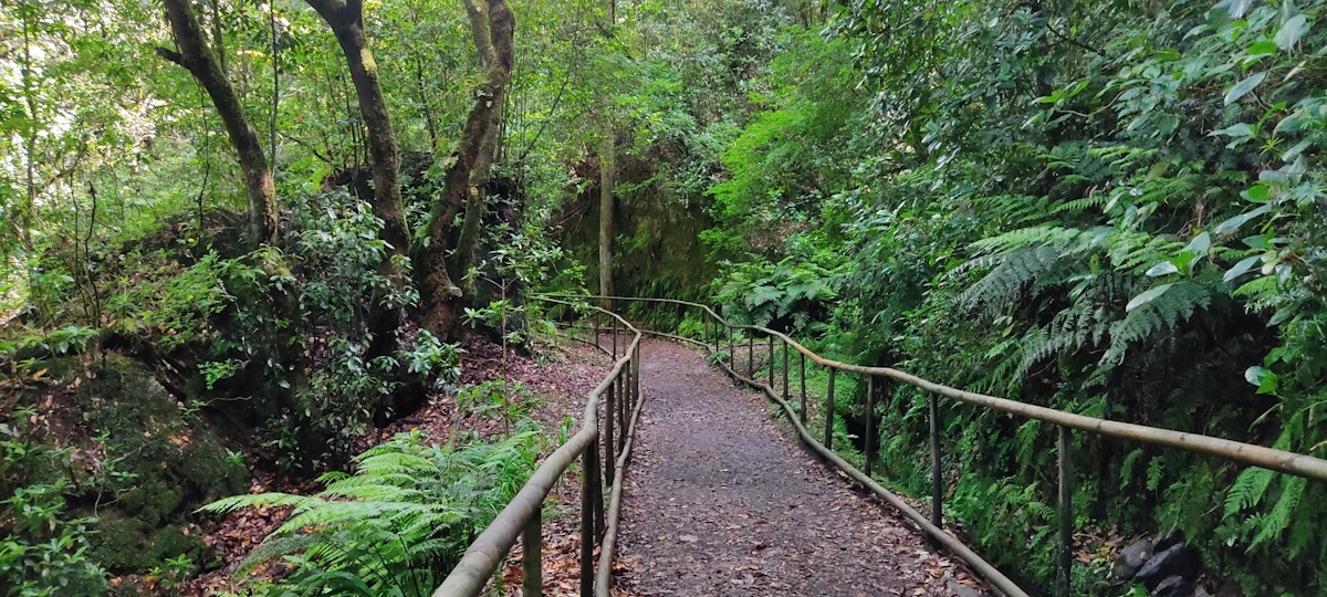Caldeirão Verde Levada self-guided trek with transfer | musement