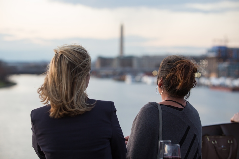 Spirit of Washington DC scenic lunch cruise | musement