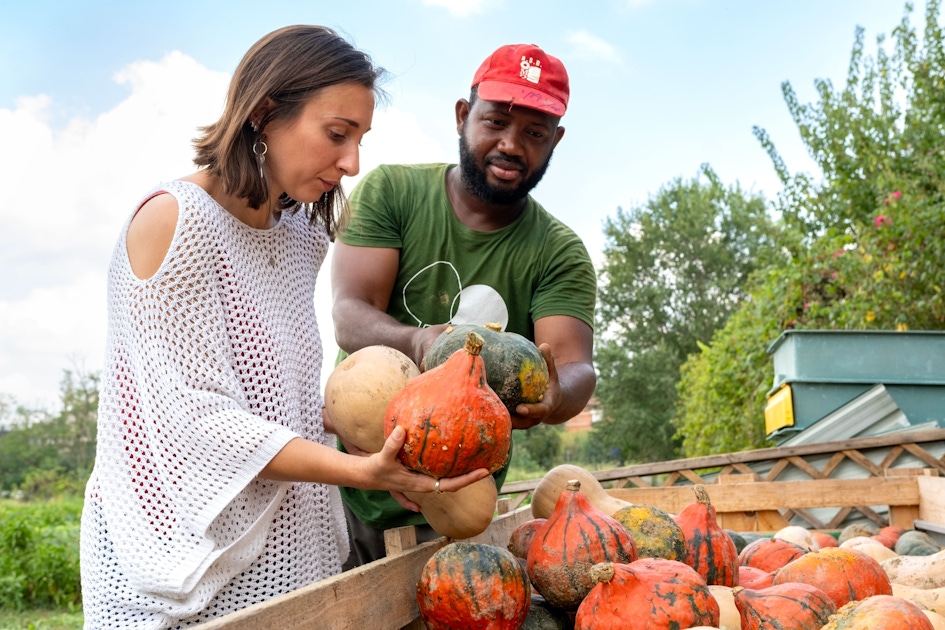 Nat Geo Day Tour: Field to Fork, A Hands-on Community Farm Experience with Rickshaw Tour | musement