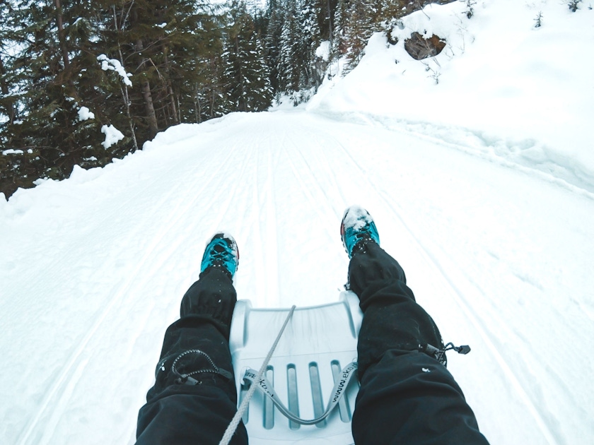 Night Sledding in the Alps from Interlaken | musement