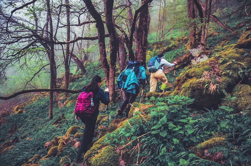 Lake Parz with Lake Gosh Hiking Experience from Yerevan | musement