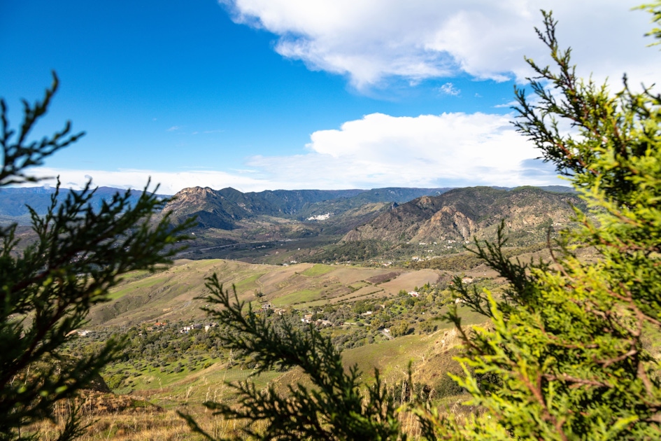 Calabrian Cheese and Wine Tour from Pizzo | musement