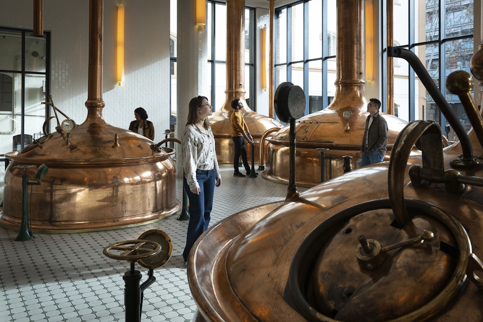 Old Estrella Damm Brewery guided tour with beer tasting | musement