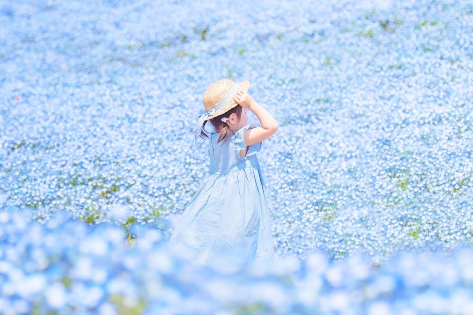 Ibaraki, Hitachi Seaside Park and Oarai Isosaki Shrine Tour in Tokyo ...