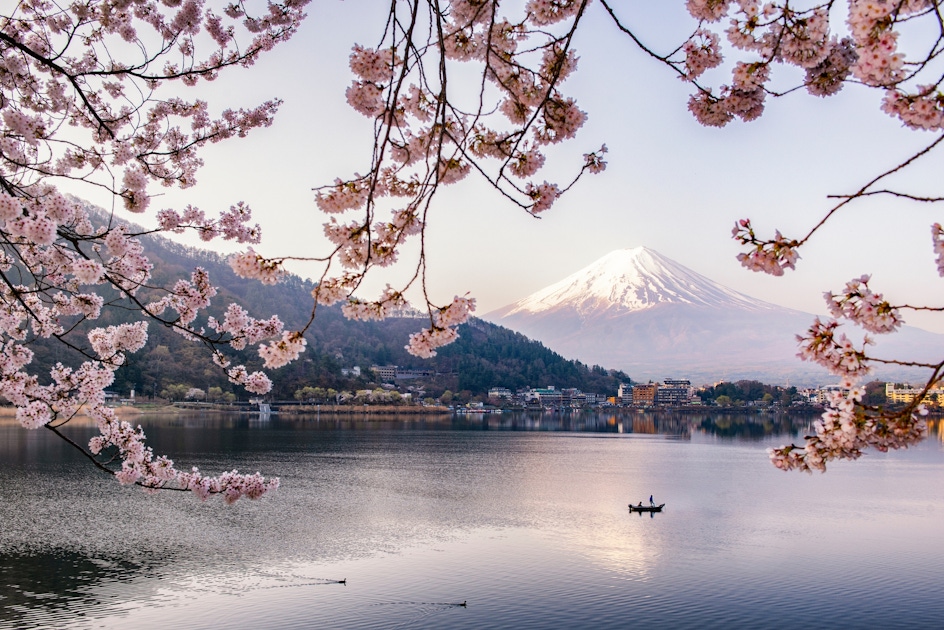 Mt. Fuji Kawaguchi Lake, Oshino Hakkai and Japanese Matcha 1-Day Trip ...