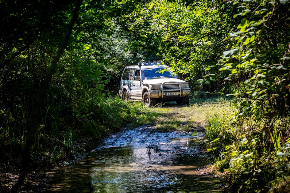 4x4 Photo Safari to Strandzha Nature Reserve with Honey Tasting | musement