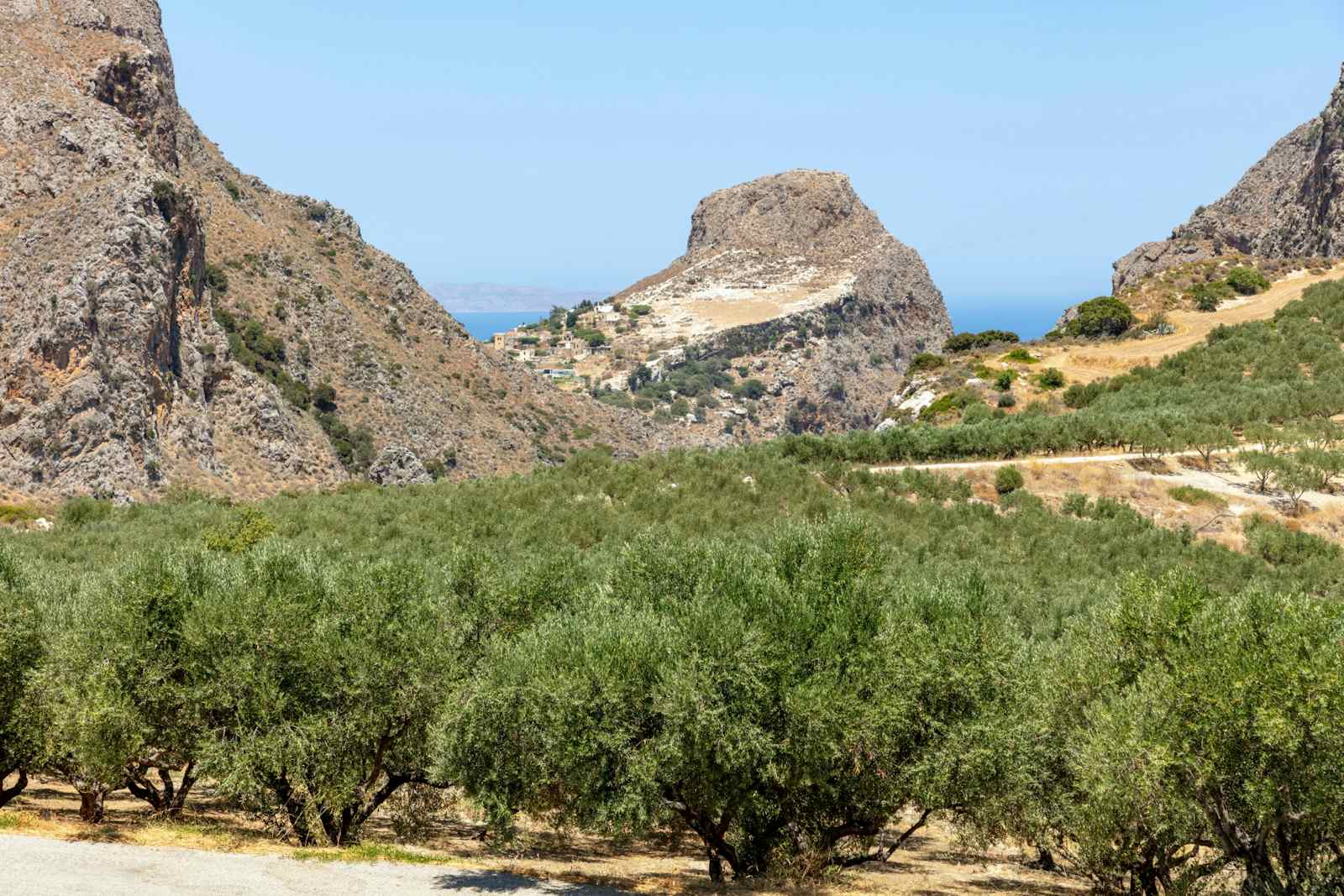 Tour of Western Crete with Winery and Olive Oil Estate | TUI
