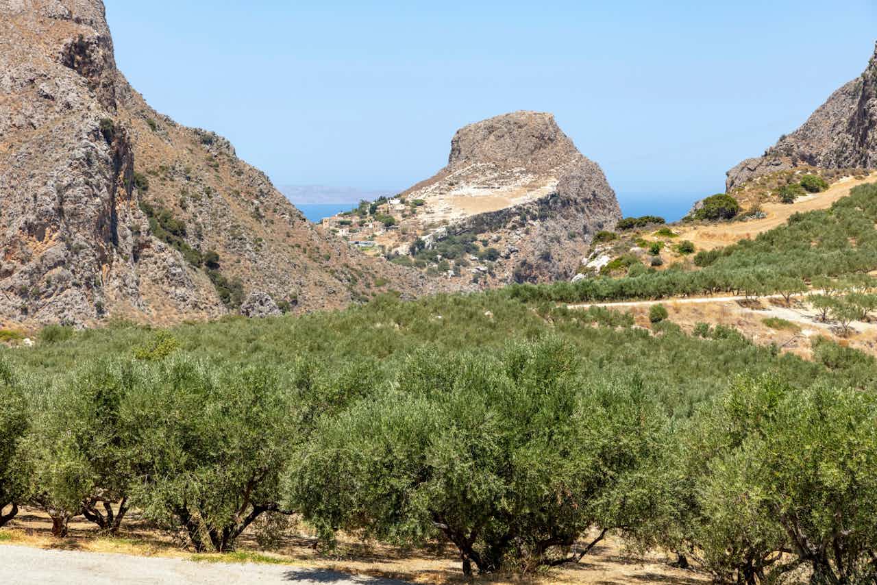 Tour of western Crete with winery and olive oil estate | TUI