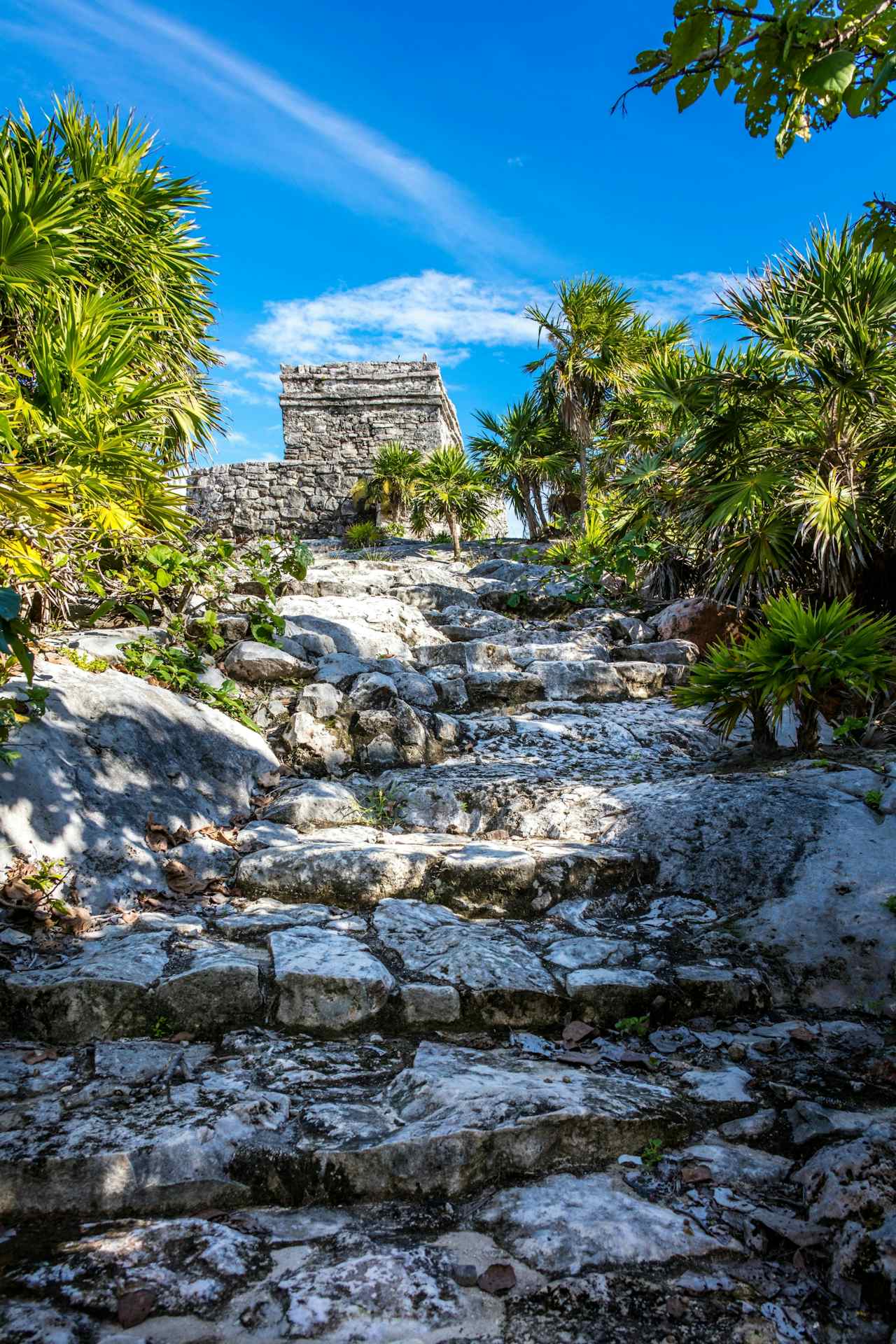Tulum, cenote swim, turtle snorkelling and beach club combo tour | TUI