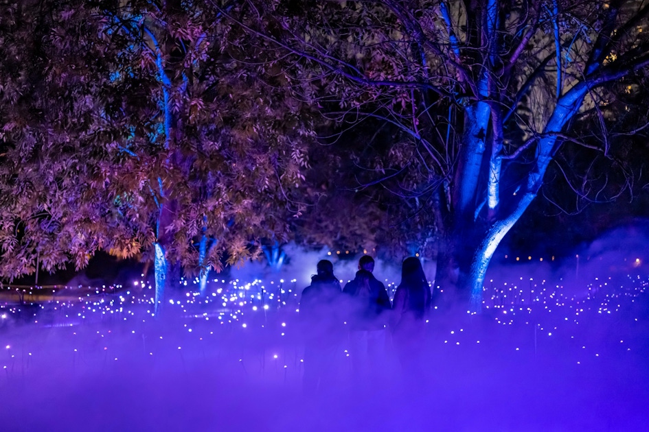 Immersive Night Walk in Coventry | musement