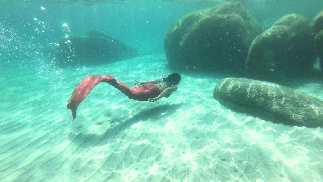 Mermaid Experience in the Gulf of Angels | musement