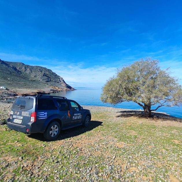 Juktas Mount, Raki and wine distillery guided tour | musement